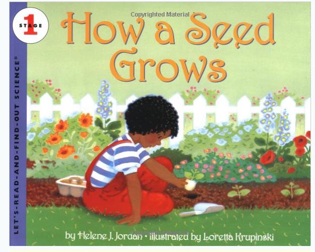 How a Seed Grows - KinderTown